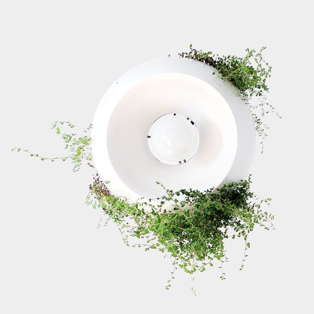 Object Interface - Well Planter Light | Gessato Design Store