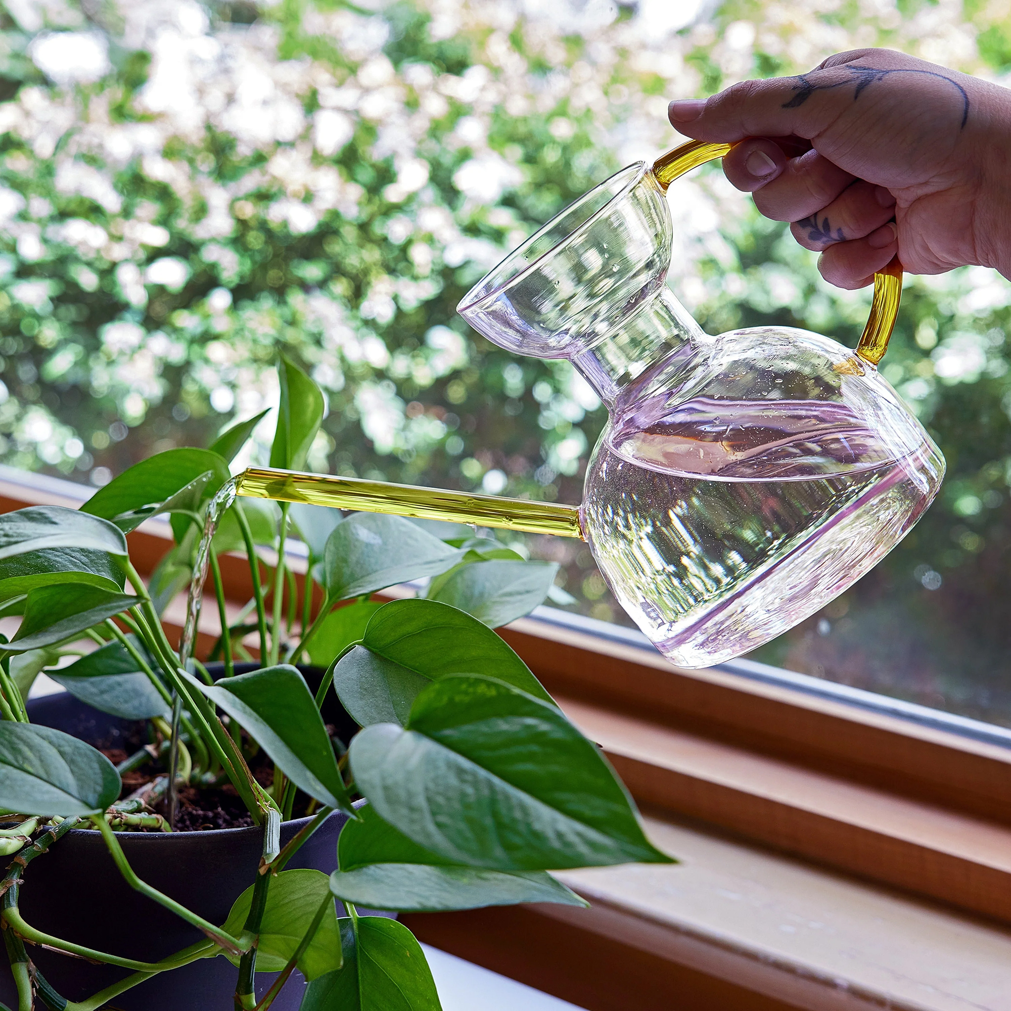 Modern Sprout - Glass Watering Can | Gessato Design Store