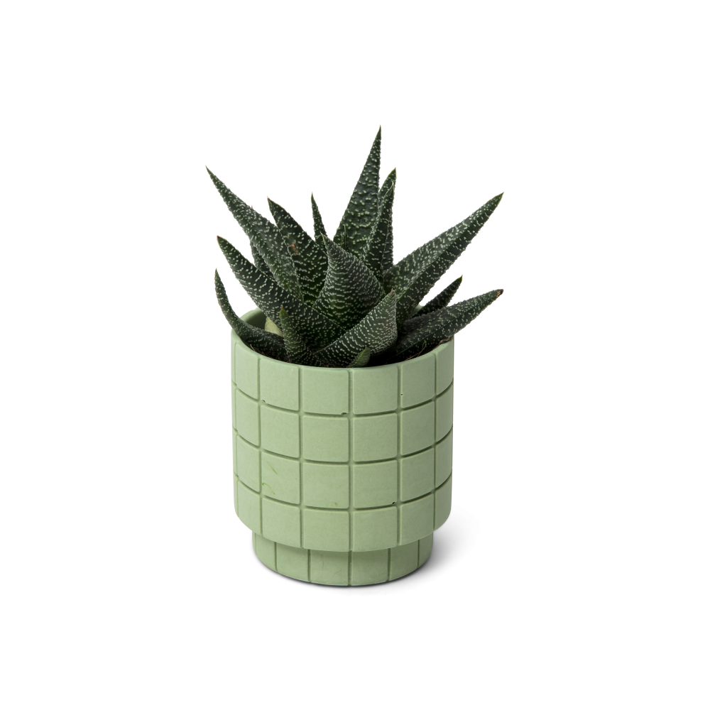 Block - Tile Plant Pot | Gessato Design Store