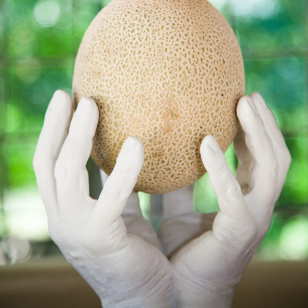 Areaware - Hand Bowl | Gessato Design Store