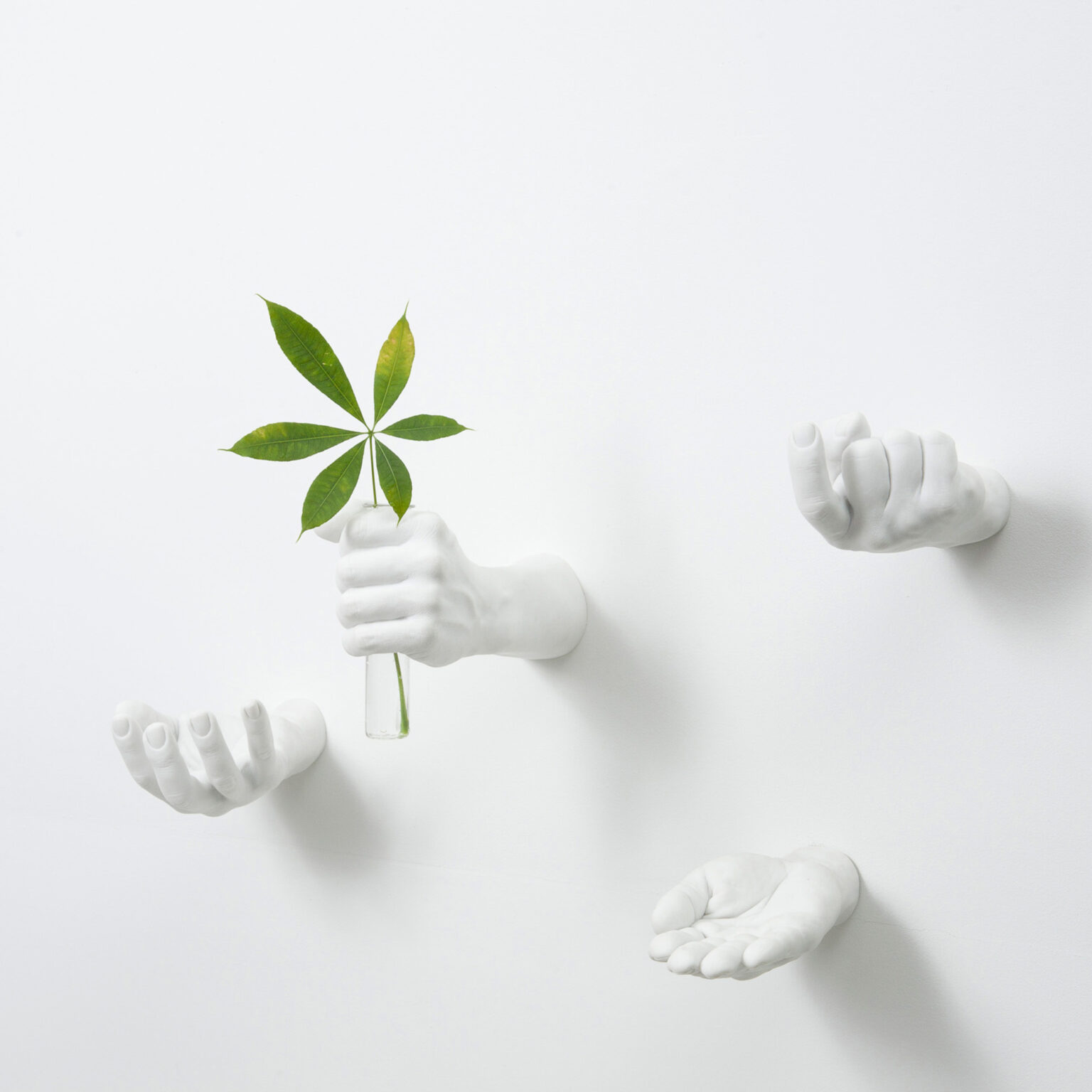 Areaware - Hand Hooks | Gessato Design Store