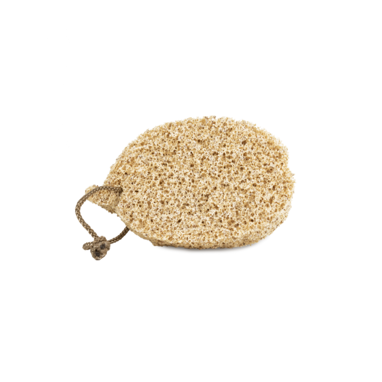 - Extra Virgin Olive Oil Sponge | Gessato Design Store