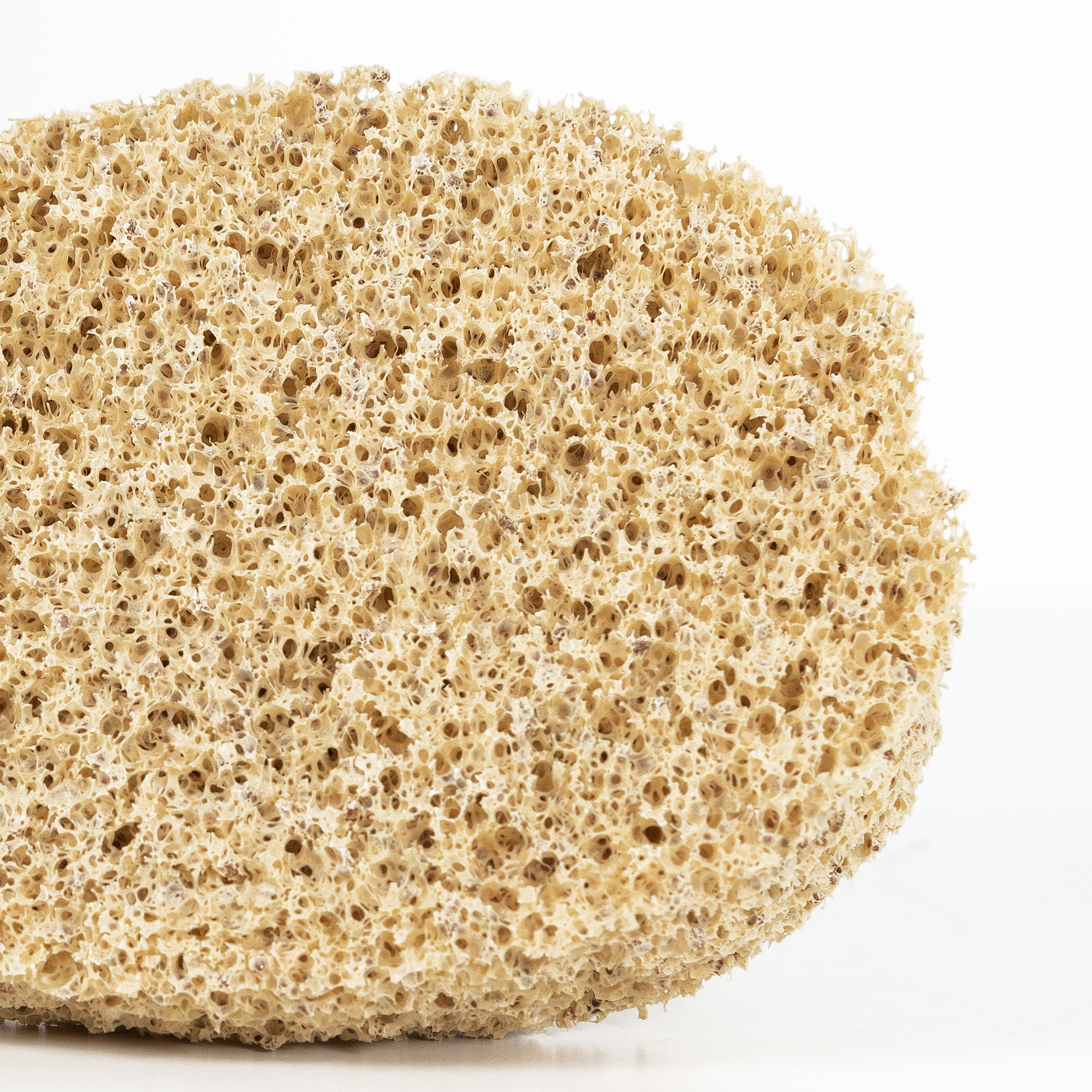 - Extra Virgin Olive Oil Sponge | Gessato Design Store