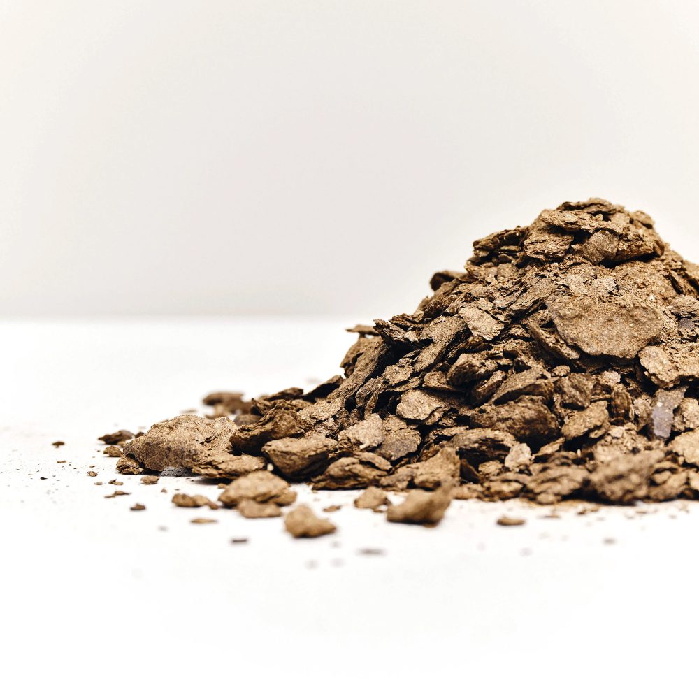 Earth Stool, Coffee Edition Backrest - Gessato Design Store