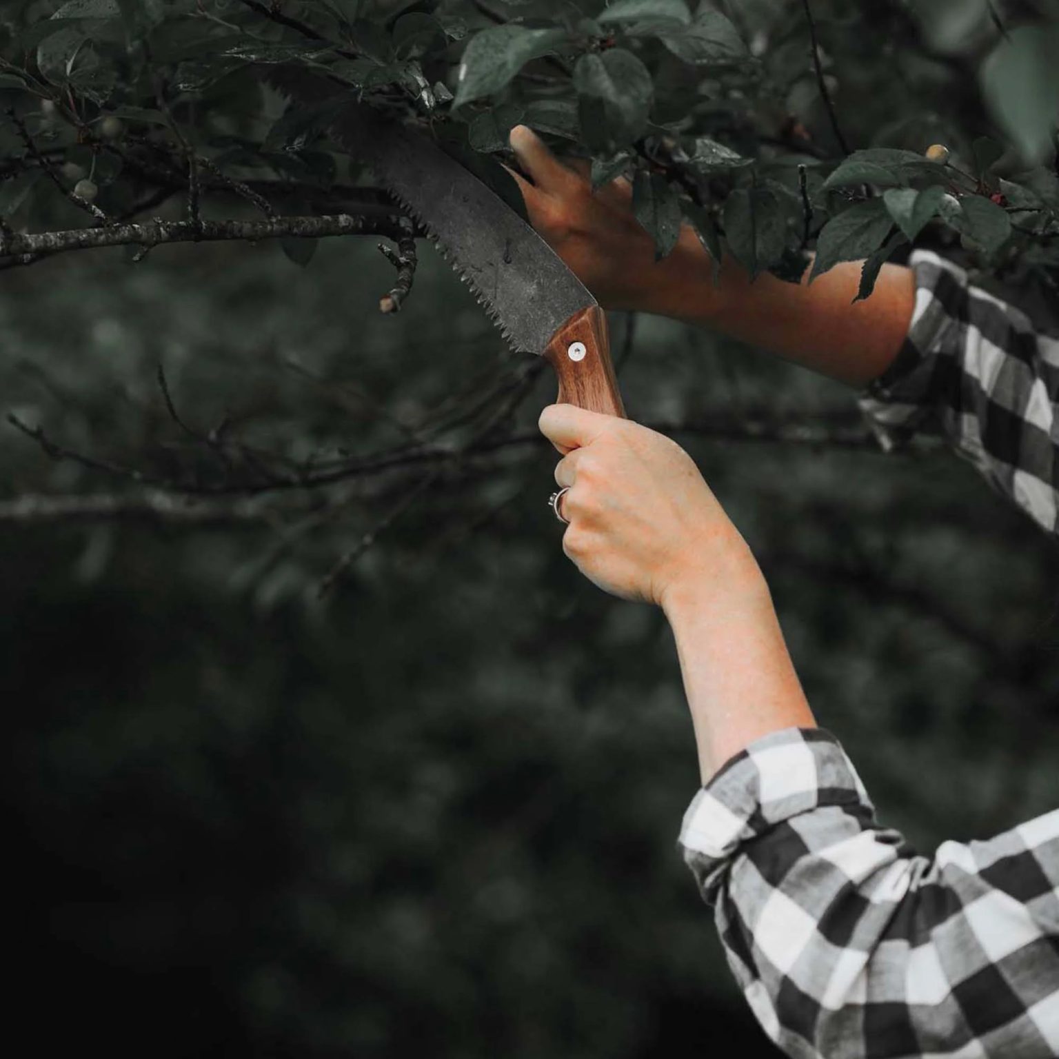 Barebones - Timber Saw | Gessato Design Store