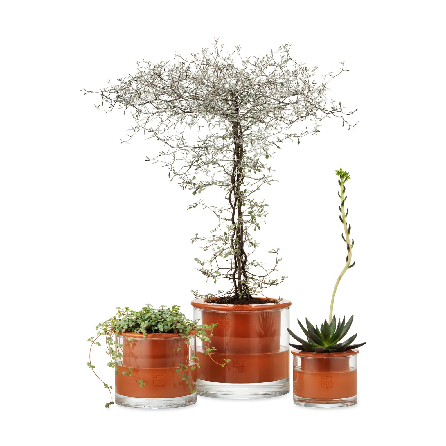 Wet Pot Systems - Self-Watering Wet Pots | Gessato Design Store