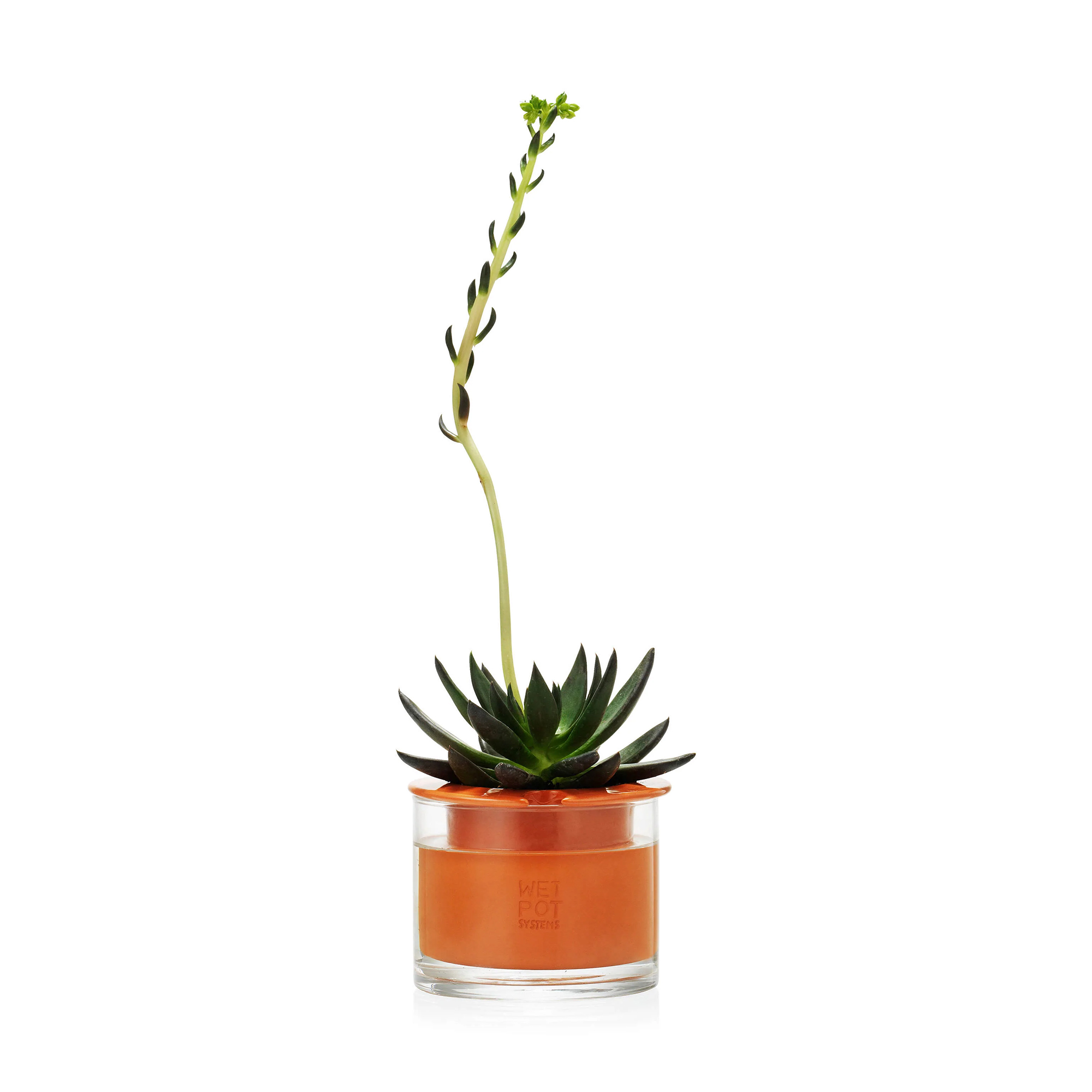 Wet Pot Systems - Self-Watering Wet Pots | Gessato Design Store
