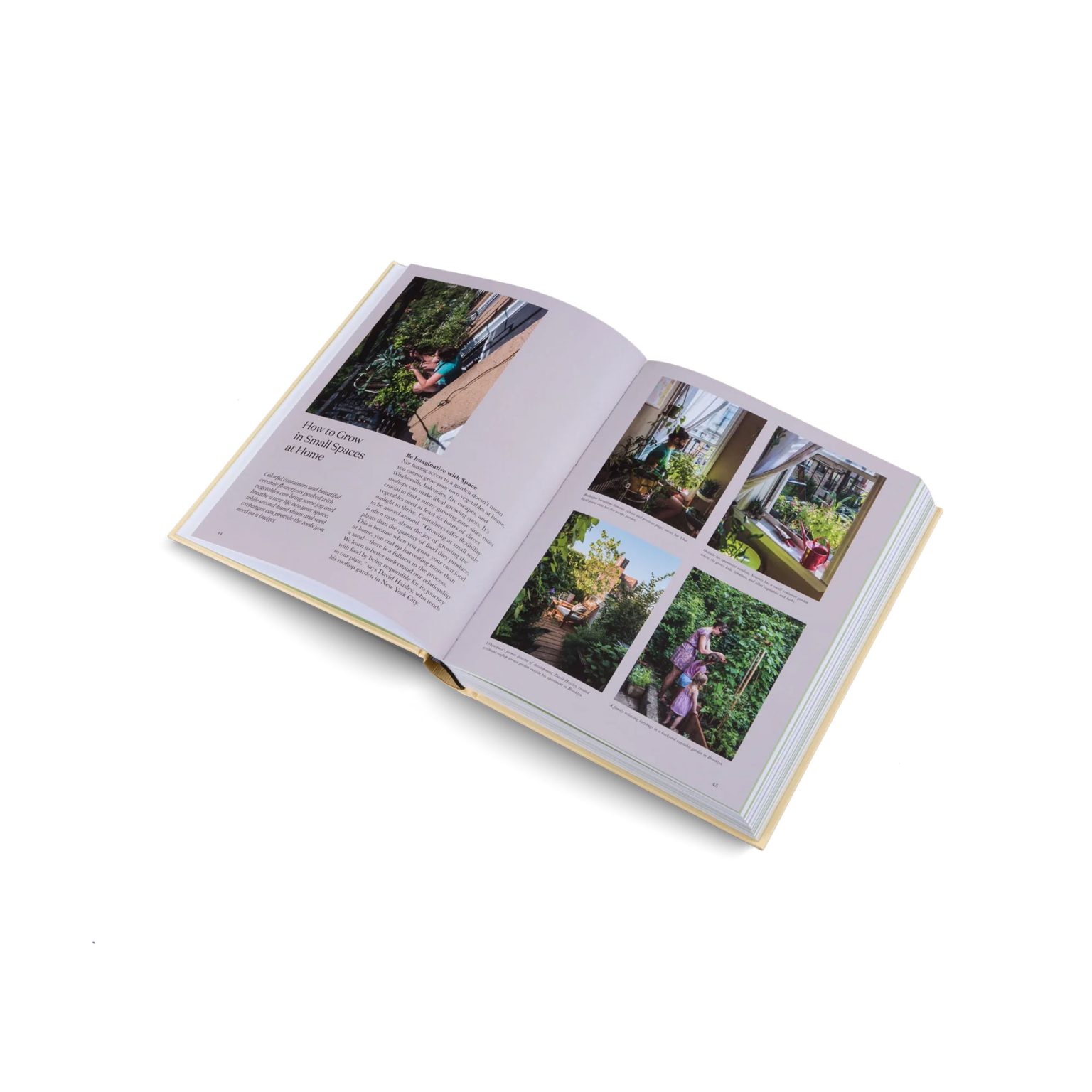 Gestalten - Urban Farmers The Now (and How) of Growing Food in the City ...