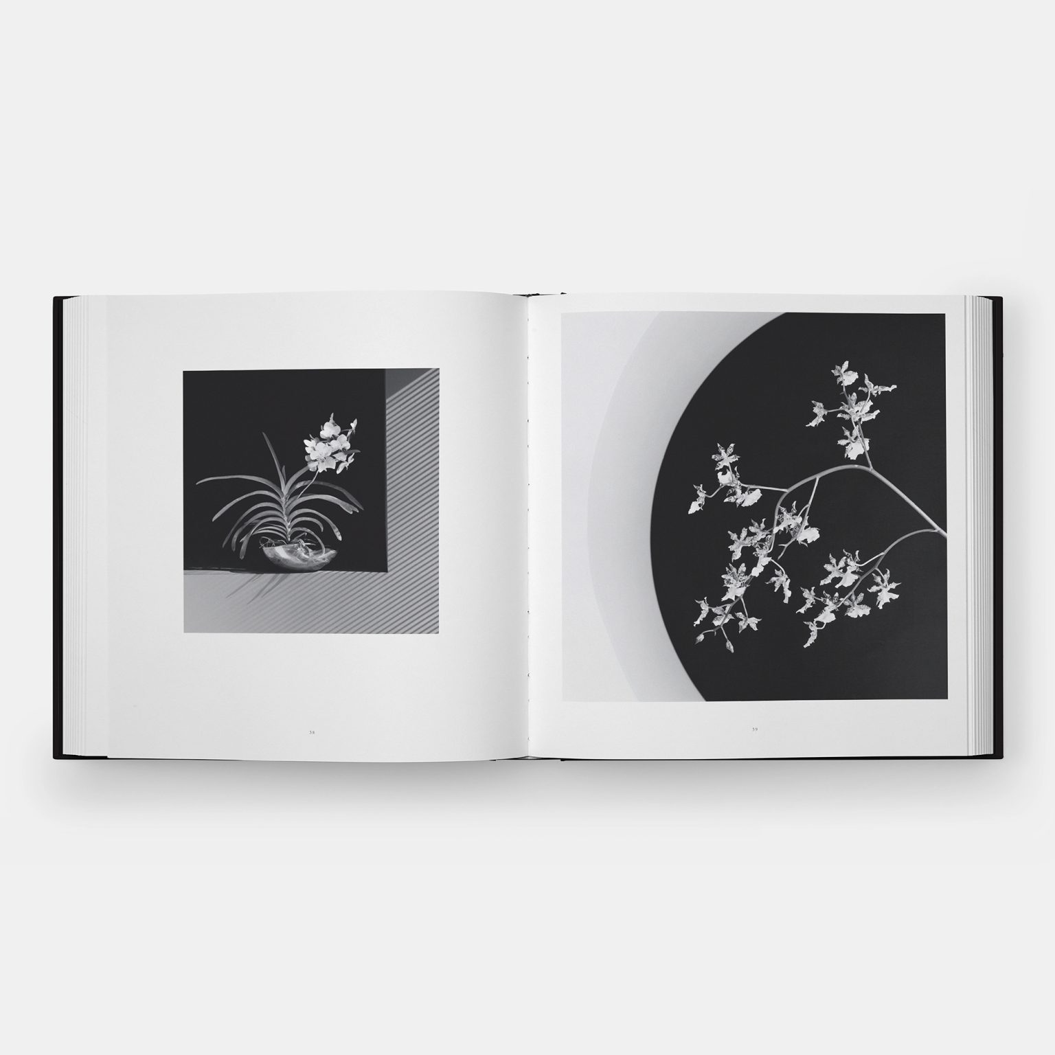 Phaidon - Mapplethorpe Flora: The Complete Flowers | Gessato Design Store