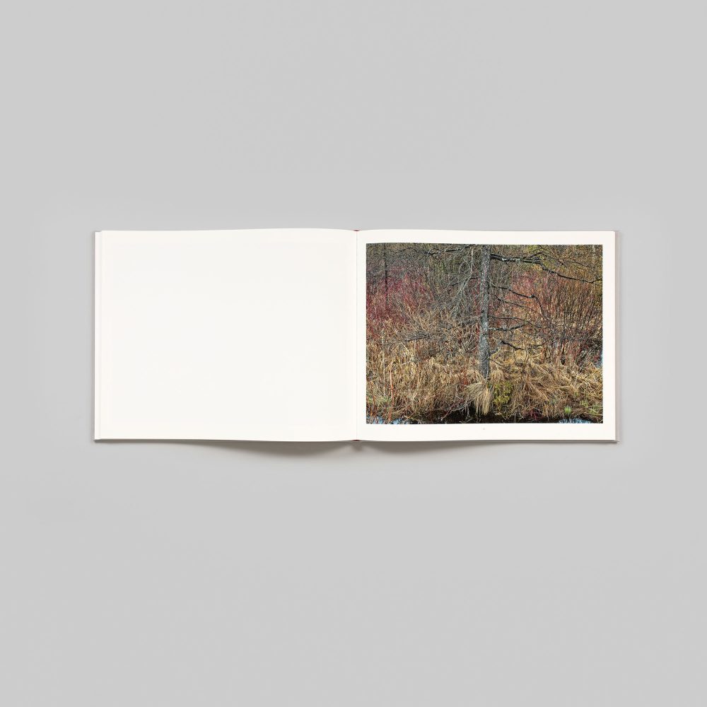 Steidl - Natural Order | Gessato Design Store