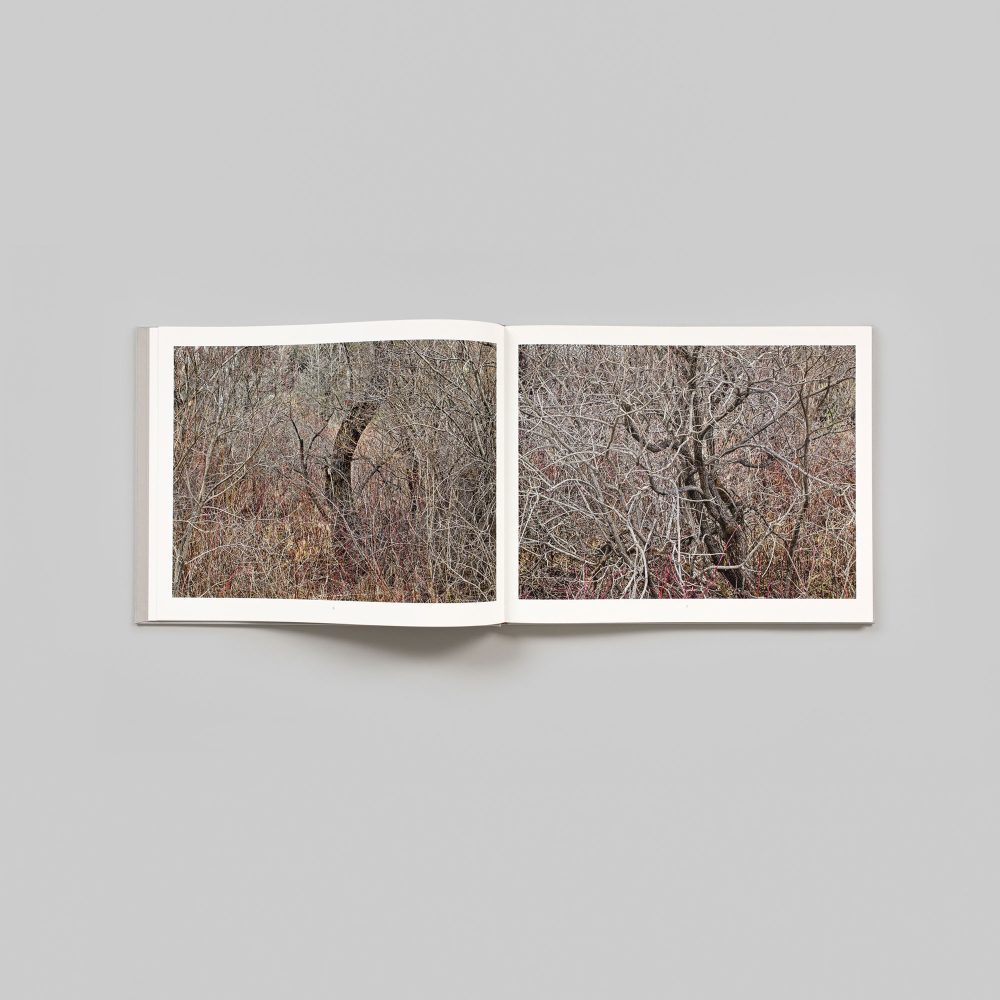 Steidl - Natural Order | Gessato Design Store