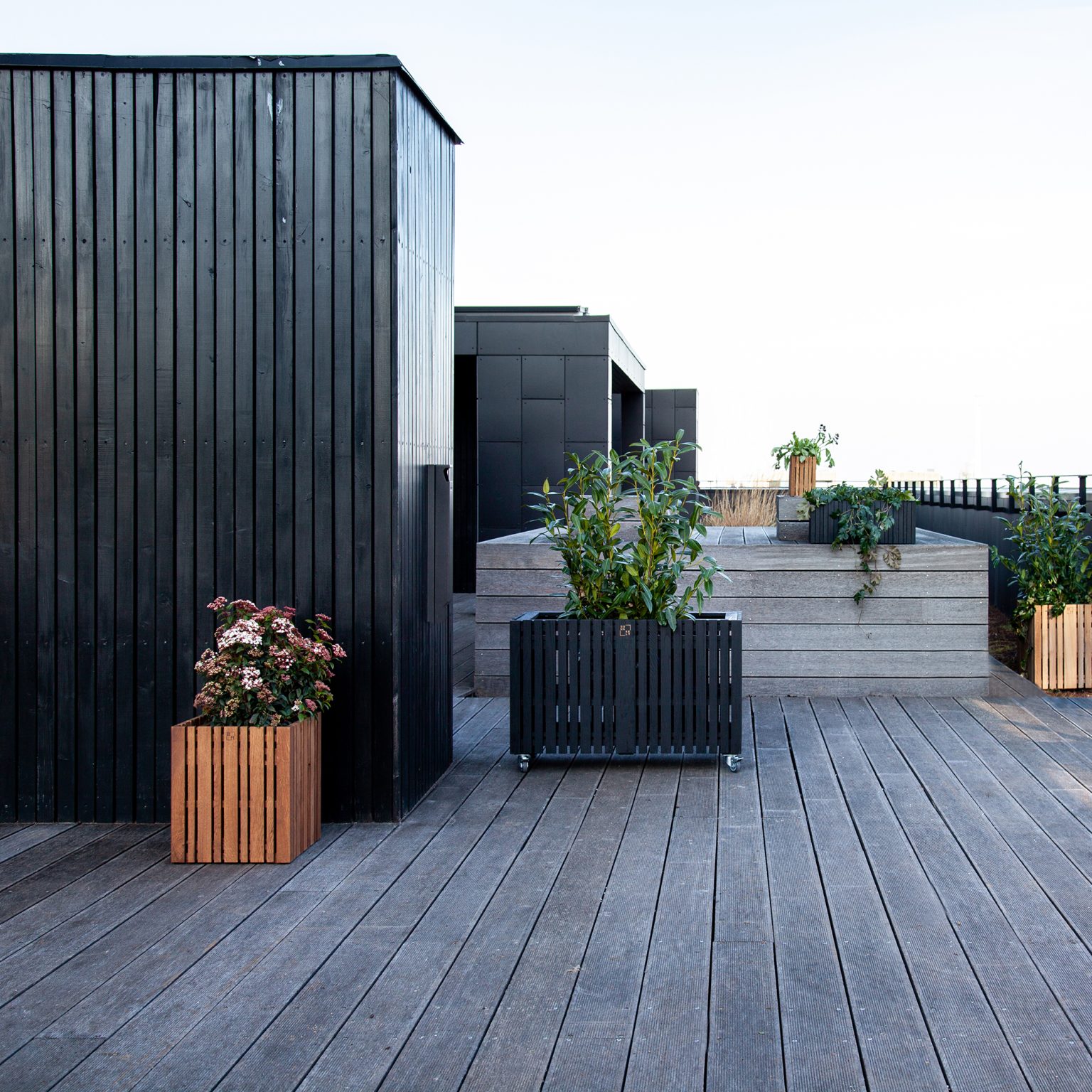 Squarely Copenhagen - Squarely GrowLARGE Planter | Gessato Design Store