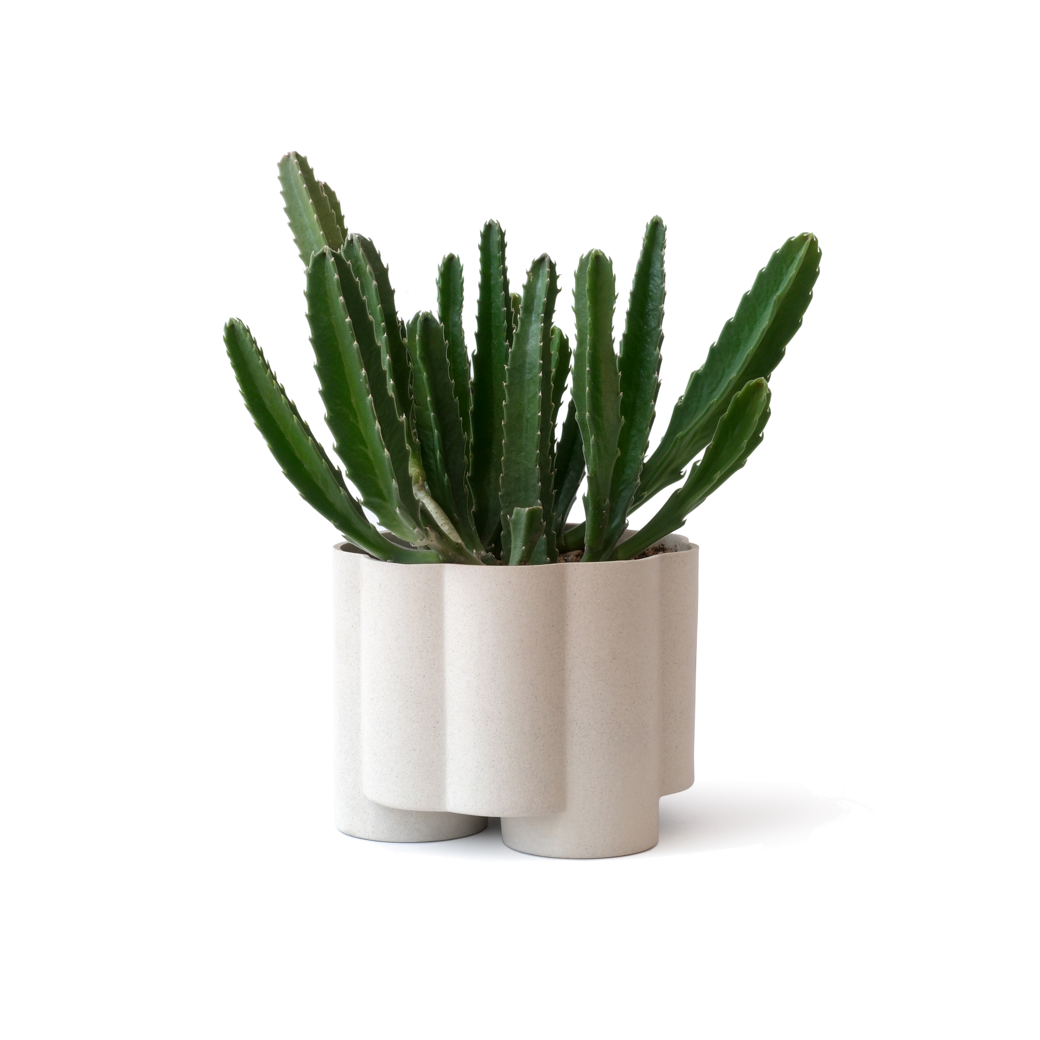 Stacking Planter - Tall, Chrome - Gessato Design Store