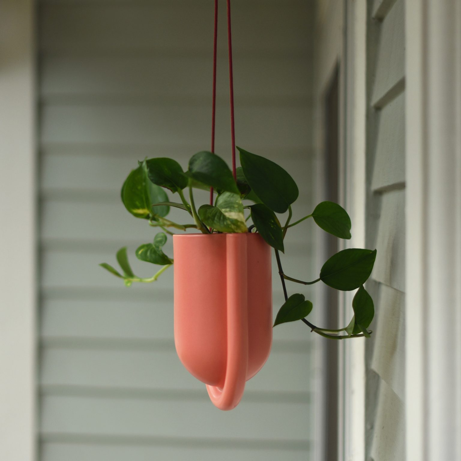 Misewell - Portico, Ceramic Hanging Planter | Gessato Design Store