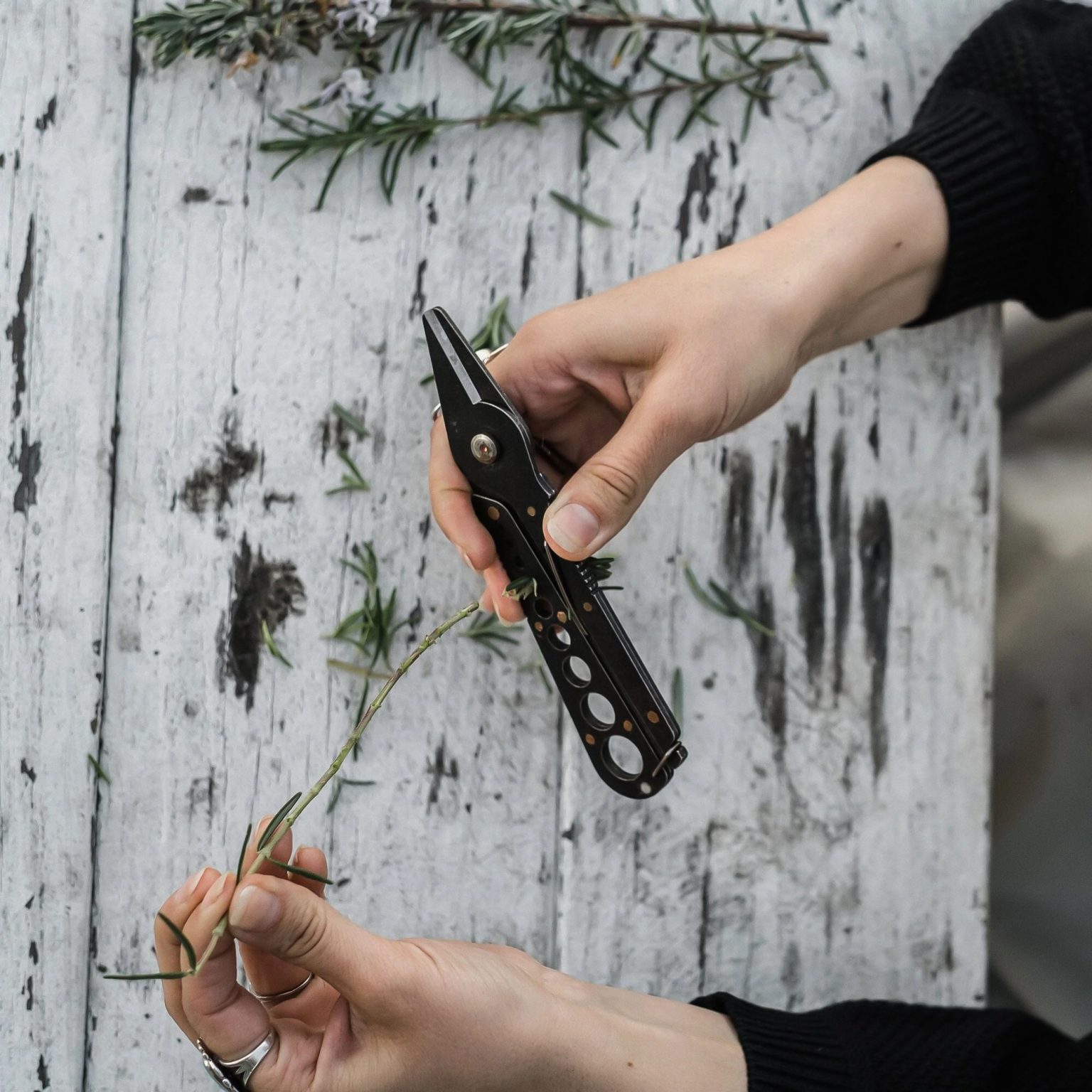 Barebones - Herb Harvest + Strip Tool | Gessato Design Store