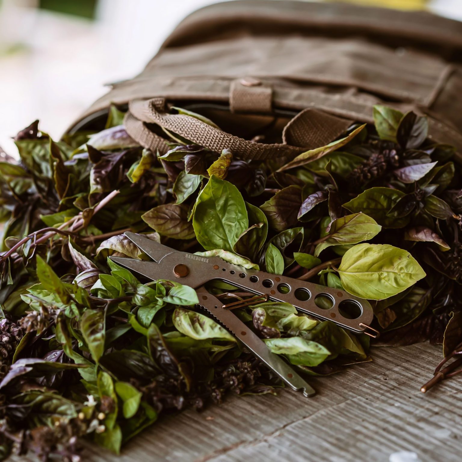 Barebones - Herb Harvest + Strip Tool | Gessato Design Store