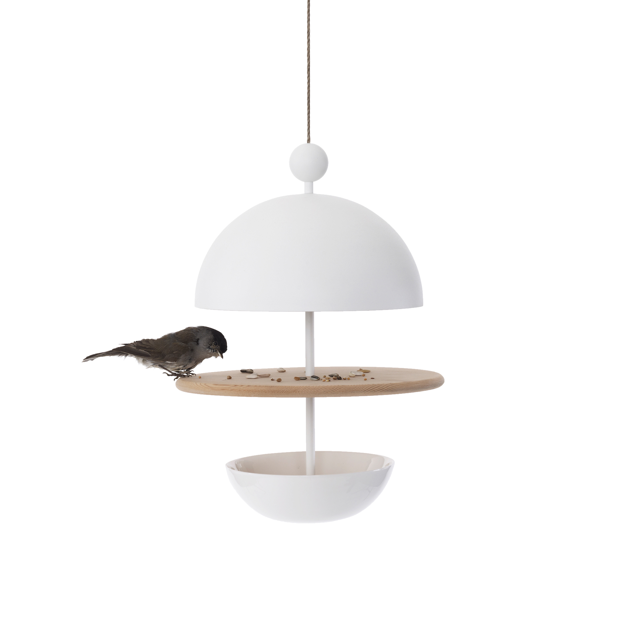 Frederik Roije - Dish of Desire Birdfeeder | Gessato Design Store