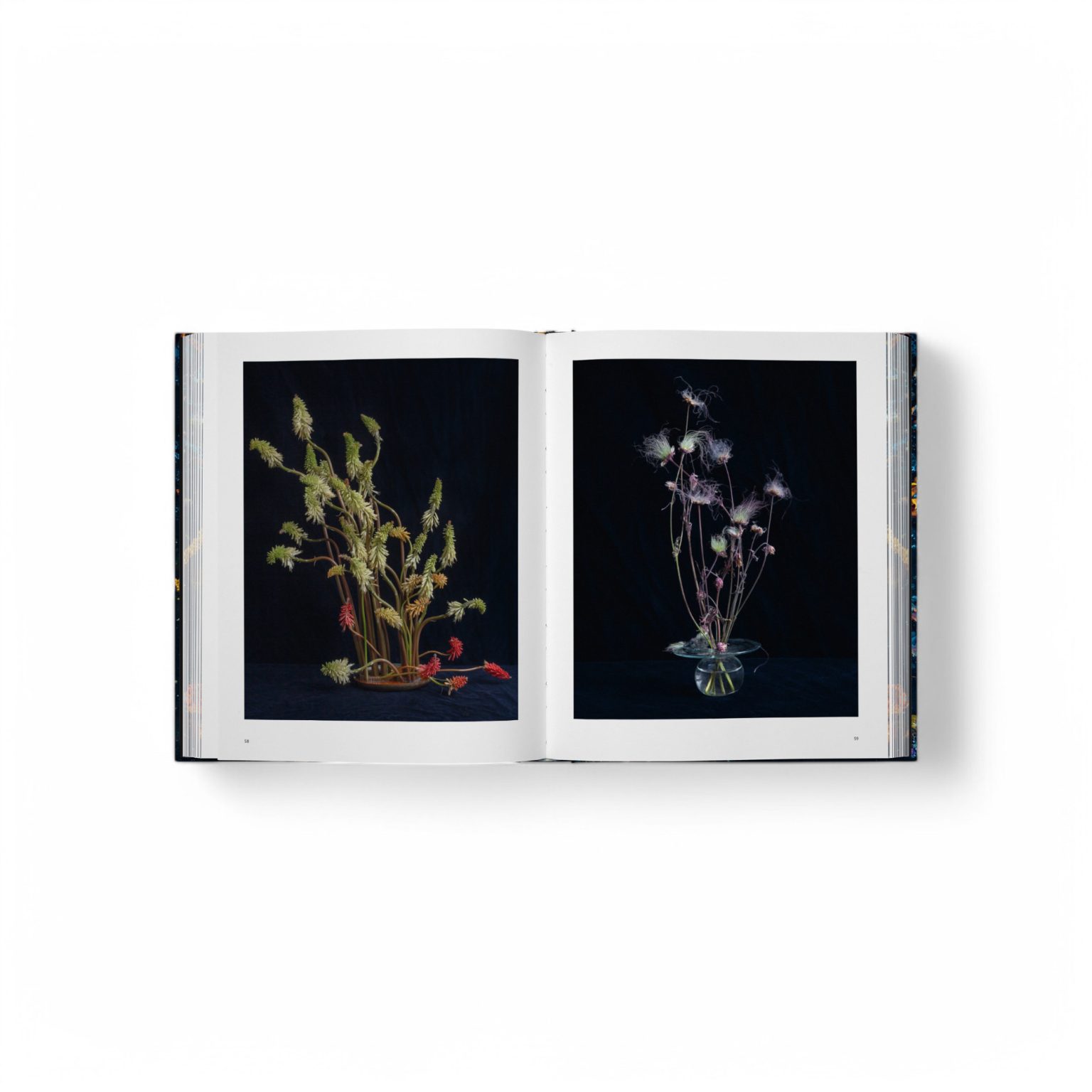 Phaidon - Emily Thompson Flowers | Gessato Design Store