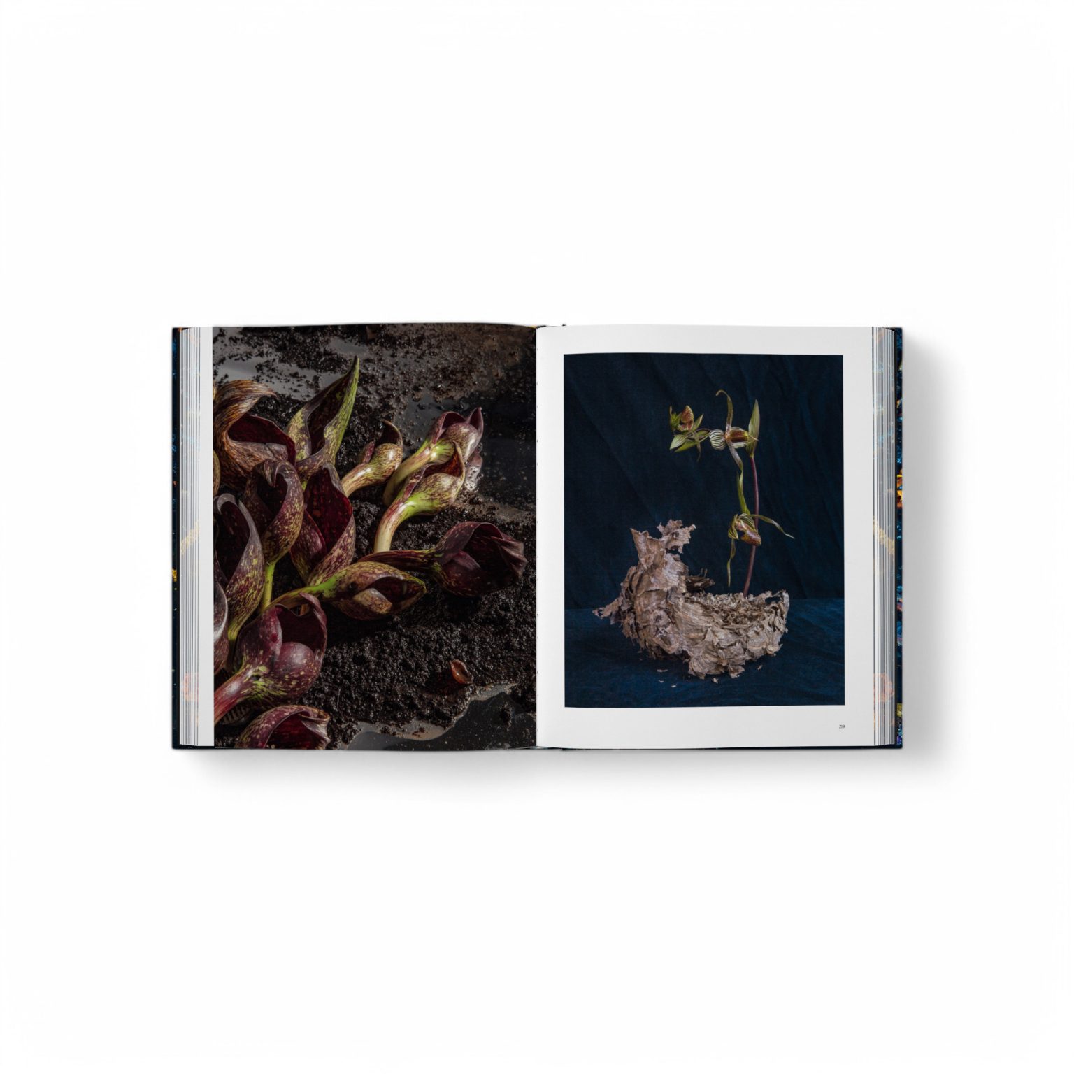 Phaidon - Emily Thompson Flowers | Gessato Design Store