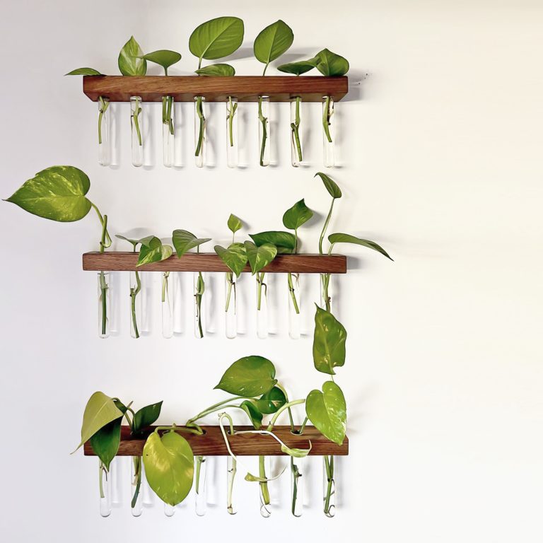 Ilovehandles - Plant Lab | Gessato Design Store