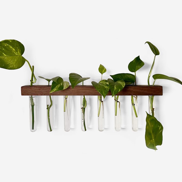 Ilovehandles - Plant Lab | Gessato Design Store